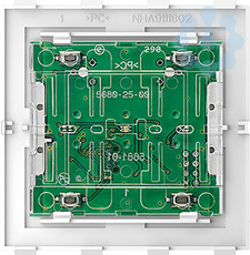 Taster-Modul Basic 2fach System Design online kaufen - 5507285 ...